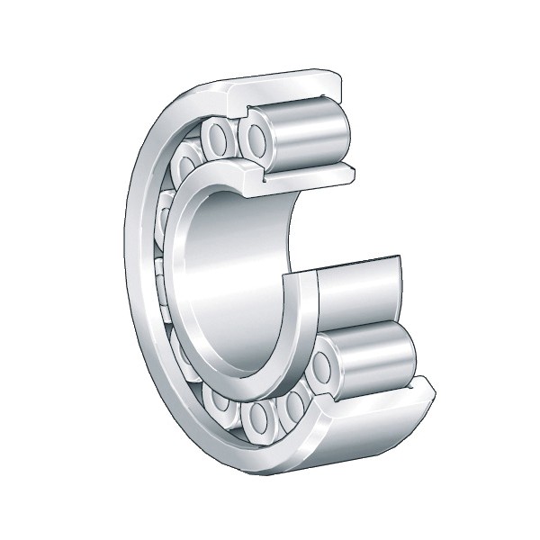 ShopIBT | Cylindrical Roller Bearing, Full Complement Semi-Fixed ...